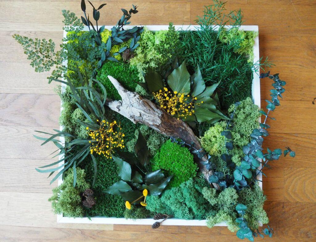 Tableau Végétal Stabilisé sur mesure | Aix Marseille | Écrin Végétal